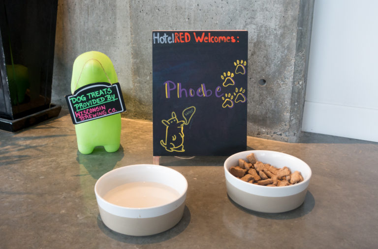 HotelRed: Pet-Friendly Hotel in Madison, WI - Thyme & Love